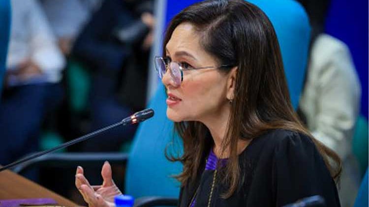 Hontiveros files complaint vs lawyer, personalities
