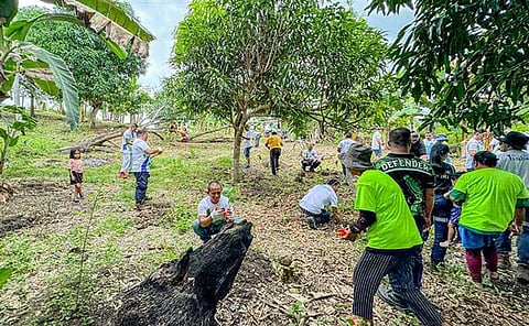 Cebu Reforestation: 1M Seedlings Planted by TVI & RAFI