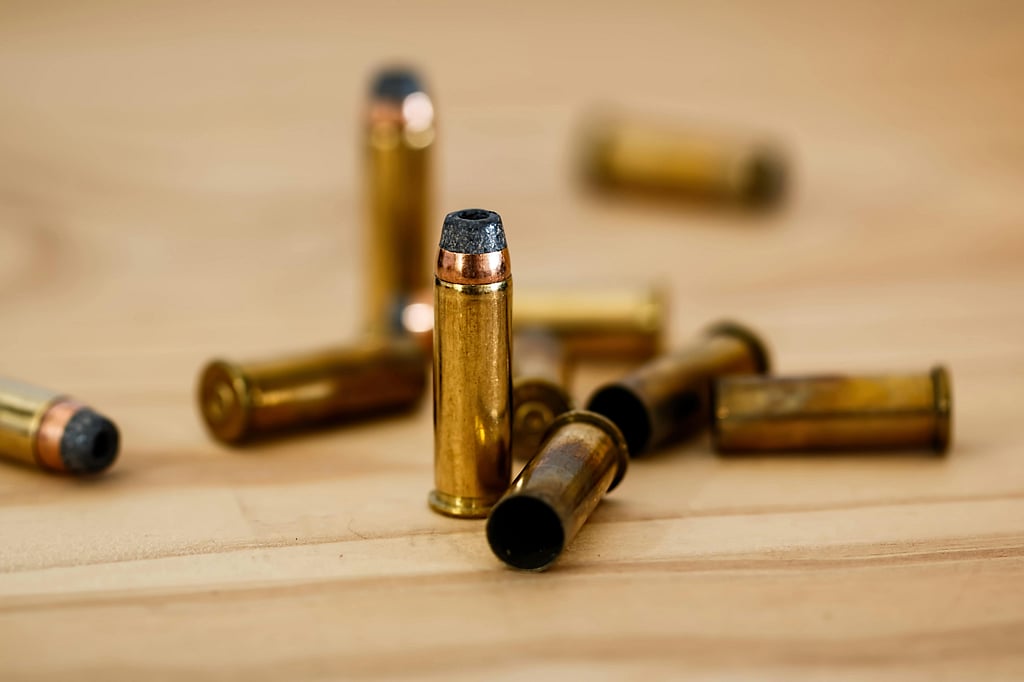 1 dead from stray bullet amid holiday celebrations