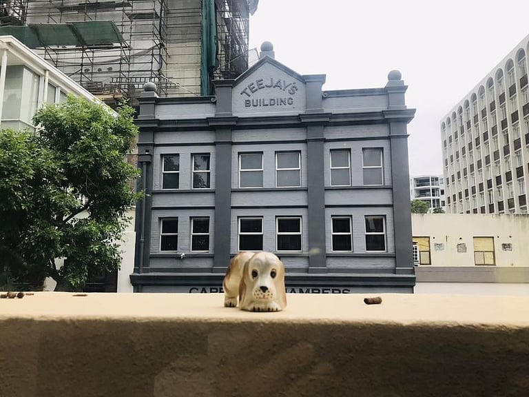 Dog Museum: Creating a niche museum