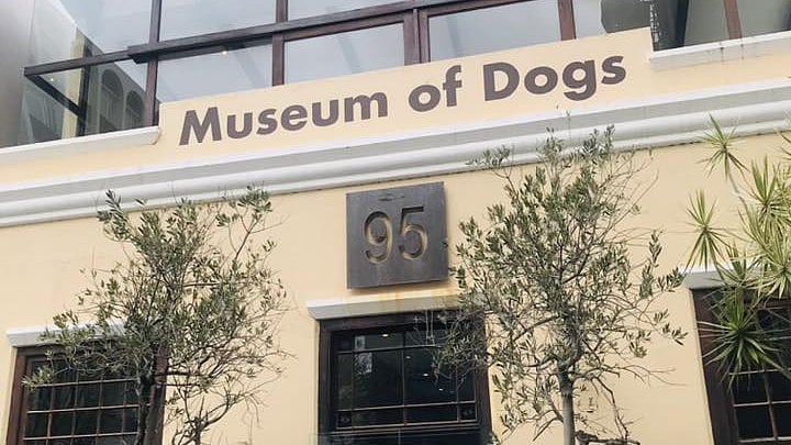 Dog Museum: Creating a niche museum
