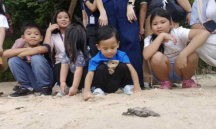 Davao Light Releases 169 Hawksbill Sea Turtle Hatchlings