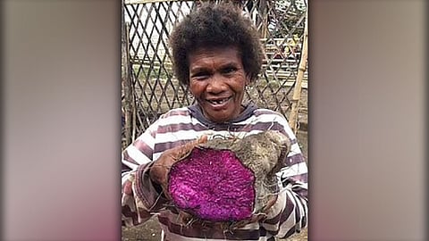 PH Ube Exports Surge to $3.06M in 2025