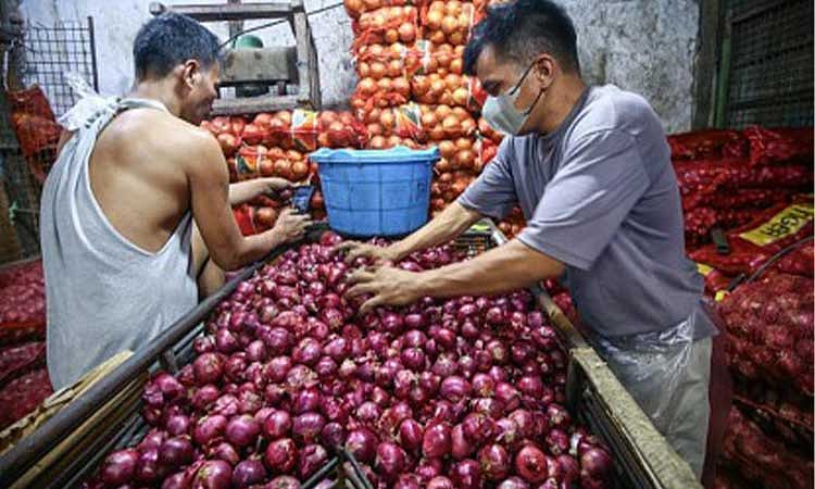 FTI to buy local red, white onions next week – DA
