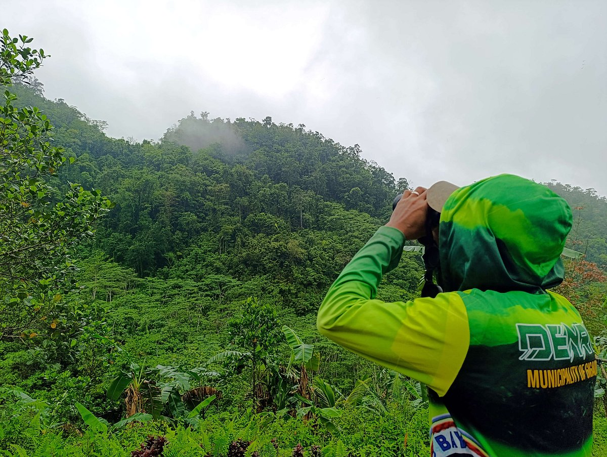 Active Philippine Eagle Nesting Site Discovered in SurNor