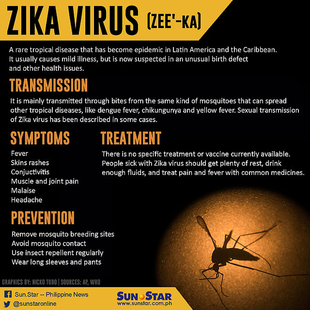 What to know about the tropical Zika virus