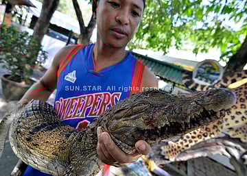 Endangered croc found dead along Pangi River