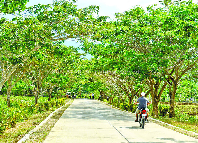 Camotes lands soon to be ‘disposable’