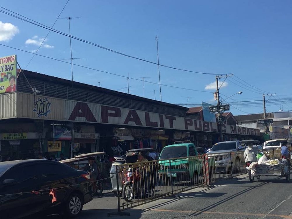 Pampanga Provincial Board to look into Apalit ordinance on new public ...