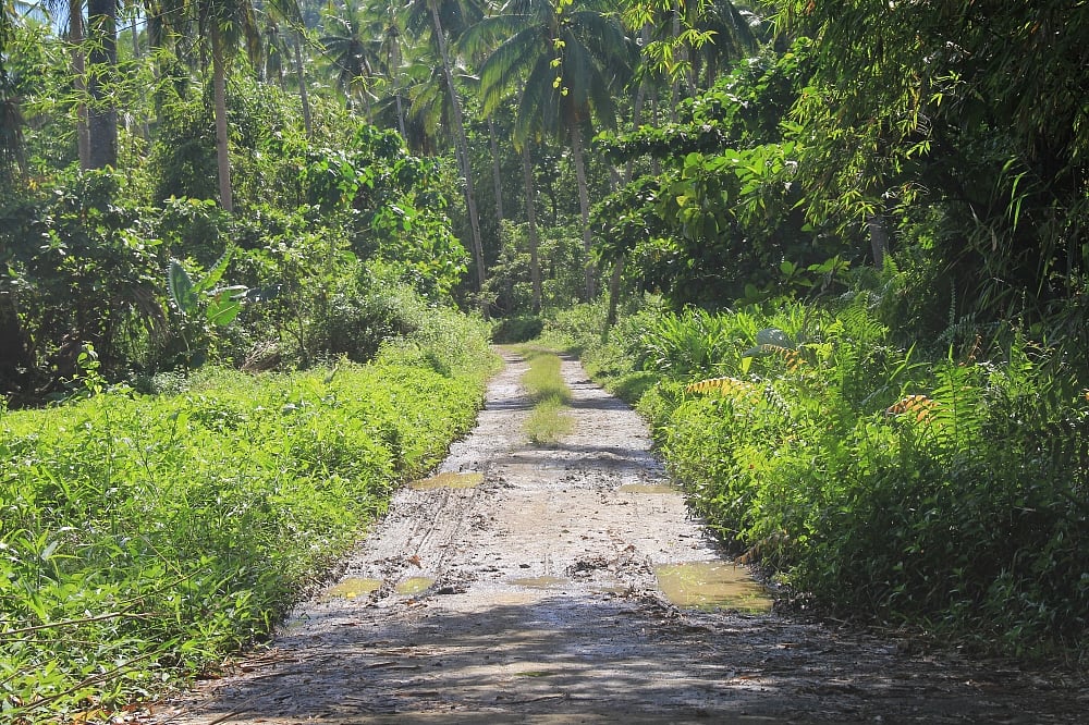 Road to Mapaso Hot Spring in Calbayog City underway