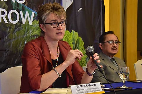 Minda pushing for simultaneous work on Mindanao Rail segments