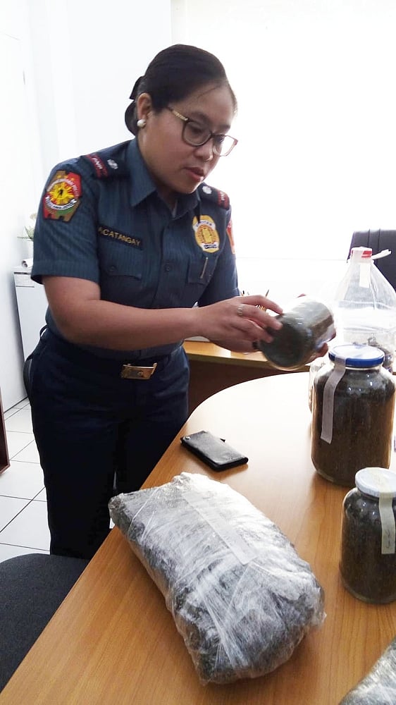 Almost half a million marijuana seized in Cebu