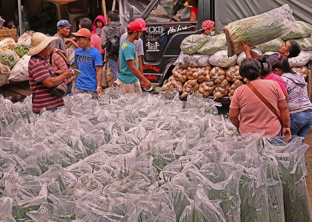 Benguet vegetable production remain viable