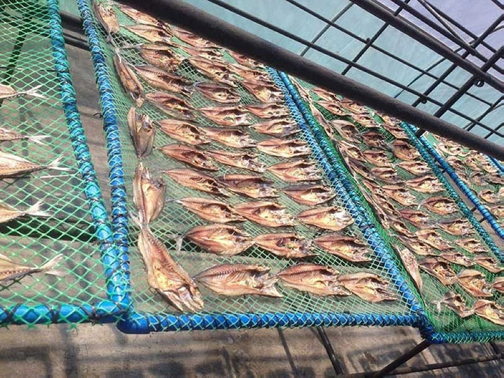 DTI upbeat to strengthen Cadiz's dried fish industry