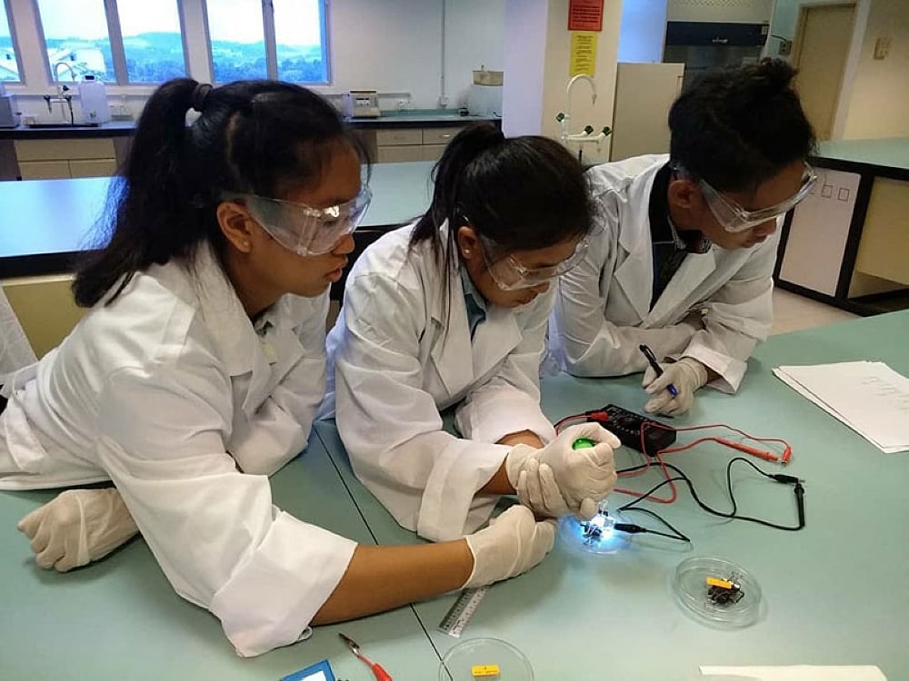 Pisay-Sox are champs in Asean+3 science fest