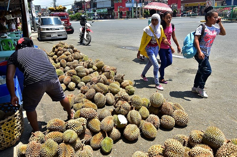 Durian in south Davao hits P40/kg