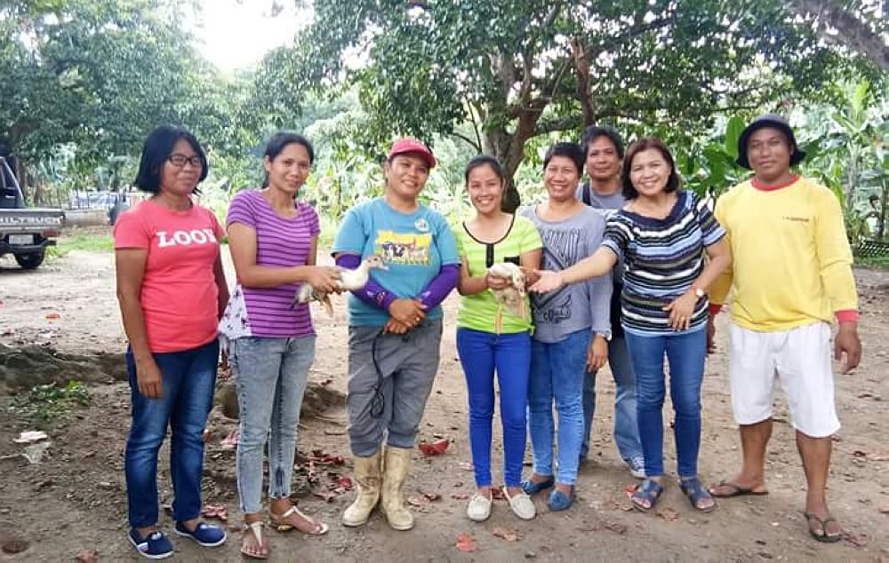 San Enrique multiplier farm gets duck breeder stocks