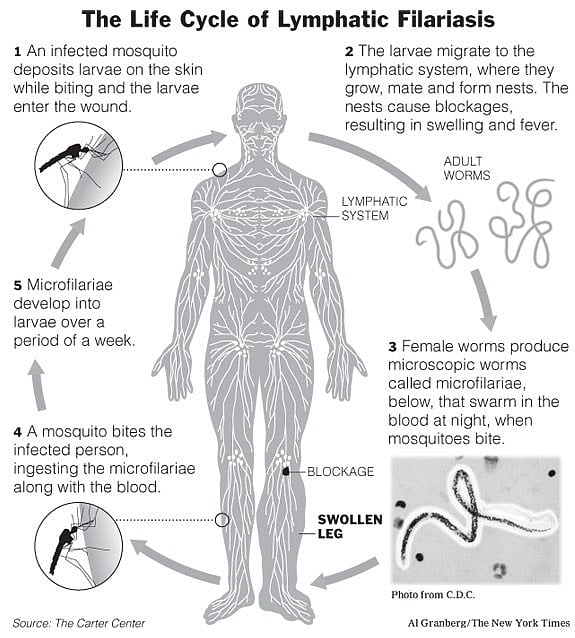 November is Filariasis Awareness Month