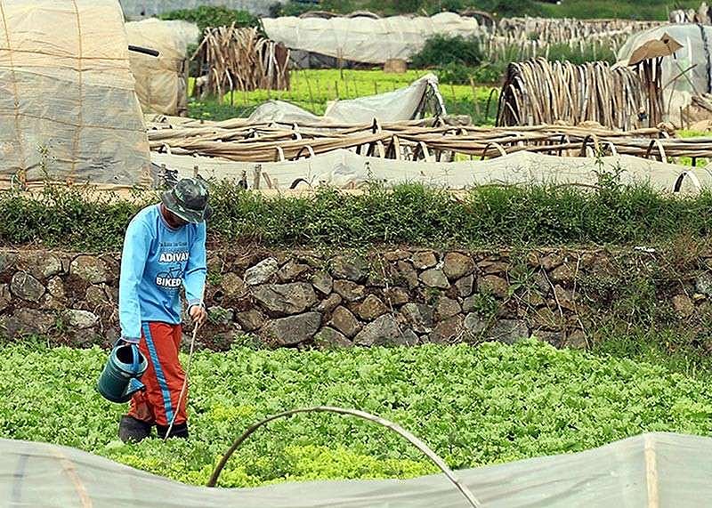 Farmer's daily routine