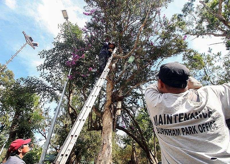 Baguio City Council thumbs down use of skating rink for trade fair