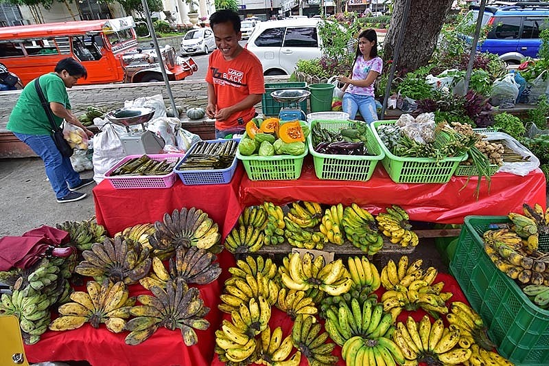 Foreign rivals pressure Mindanao bananas