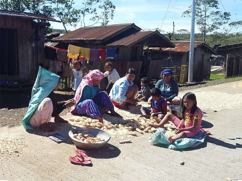 Indigenous people drying crops