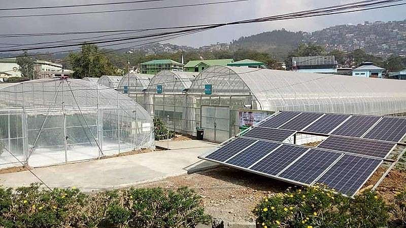 First automated greenhouse launched