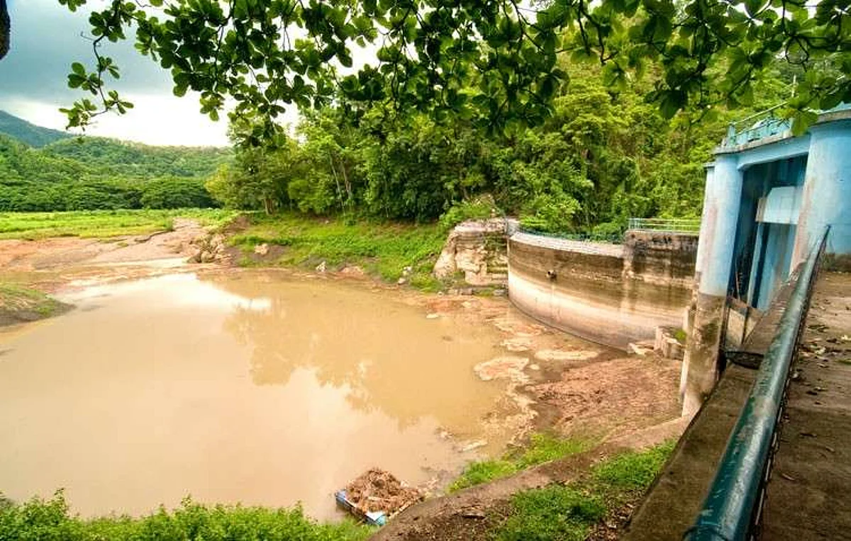 Tubig sa Buhisan Dam sa Cebu City, kritikal na tungod sa weak El Niño ... Tubig sa Buhisan Dam sa Cebu City, kritikal na tungod sa weak El Niño ...