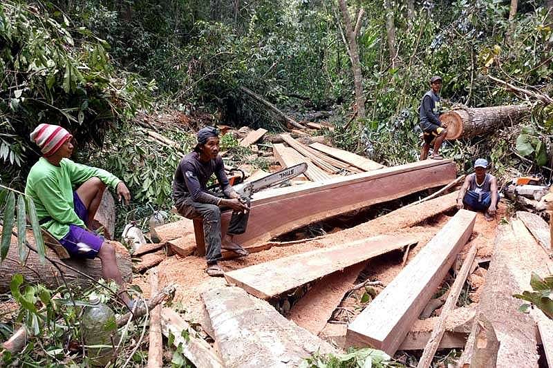 Cordillera cops arrest 7 illegal loggers