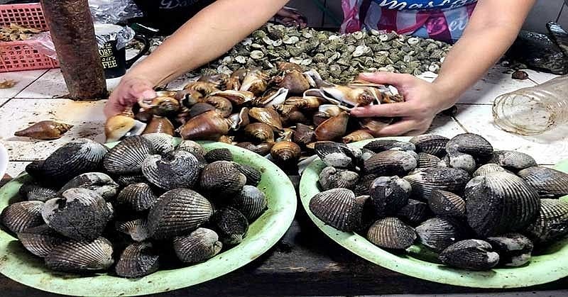 Shellfish in Davao safe, BFAR says