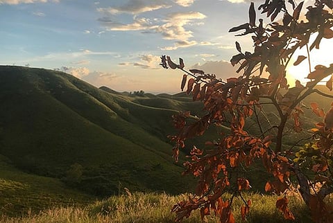 Super Suroy: Palayan sa Ubay, Bohol