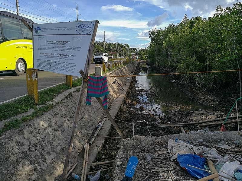 Earth-balled mangroves ‘left to die’