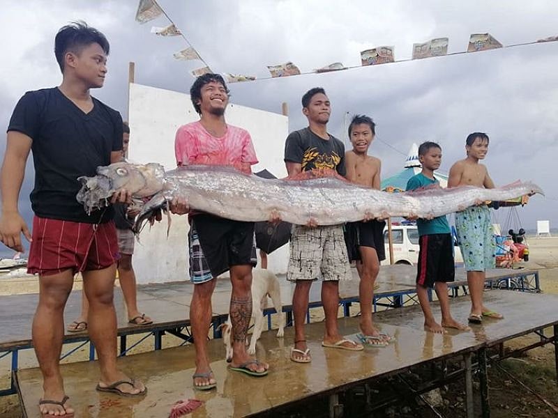 Oarfish washed ashore in Compostela, Cebu