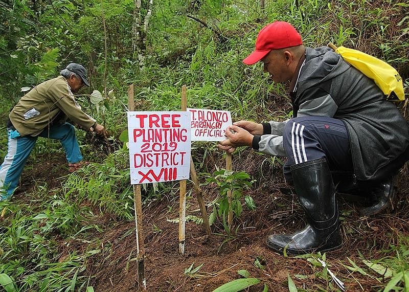 Baguio City Government pursues mandatory family tree planting