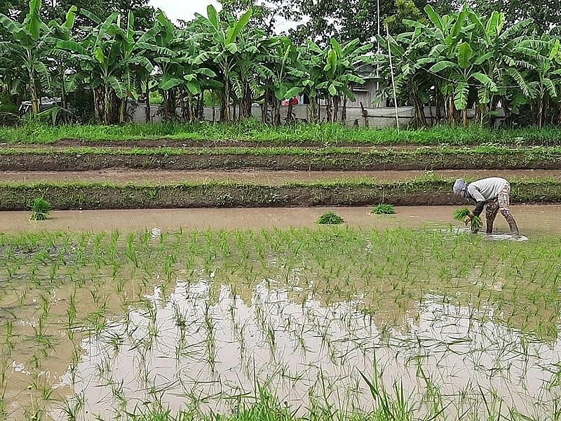 Groups seek government support for farmers