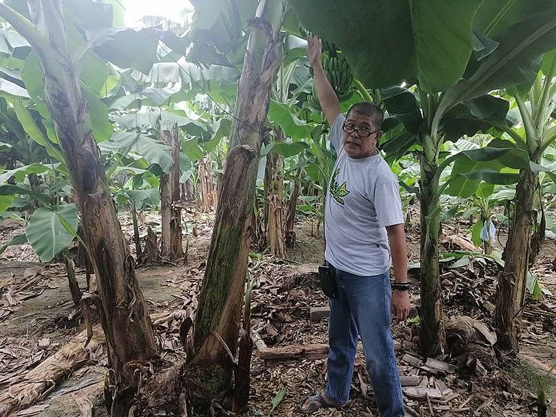 Saludo Kami: Pag-ayuda sa mga mag-uuma