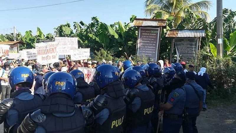 Court stops clearing of road toward Tadeco plantation