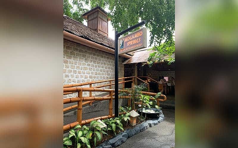 Totally unplugged: Spending a day at Mogambo Springs