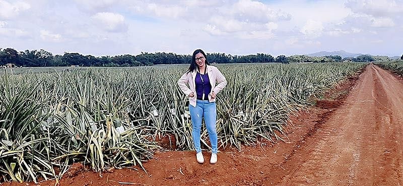 Del Monte pinakadakong plantasyon sa pinya sa Bukidnon