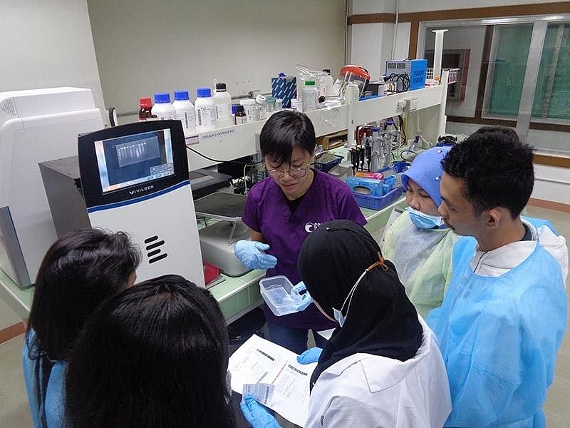 DNA barcoding to identify fish species