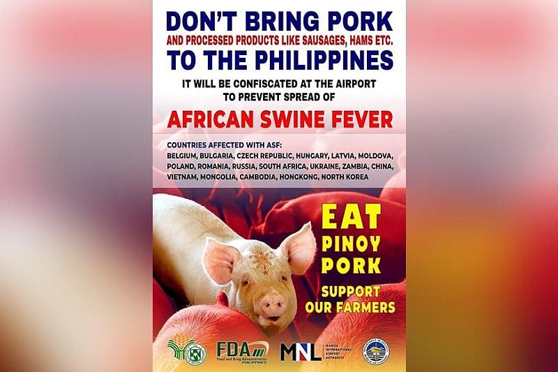 1,000 pigs dead in Davao Occidental town ASF outbreak
