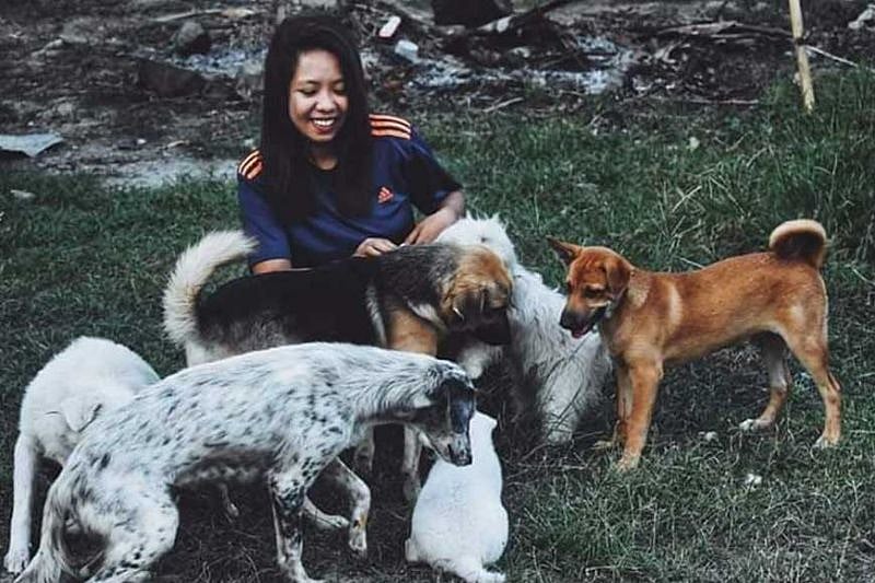 Advocating animal rights