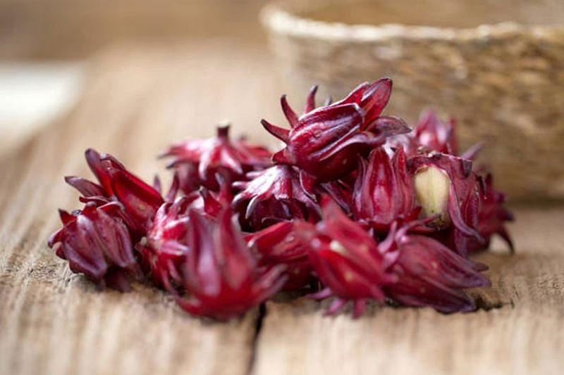 Reaping the benefits of Roselle