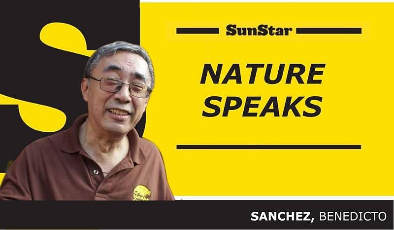 Sanchez: Pandemic looks personal