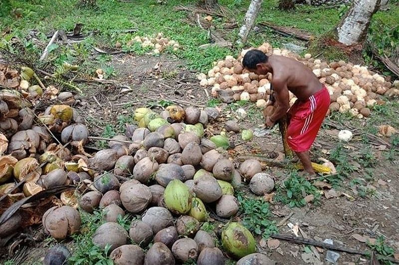 Coconut producer held at checkpoint