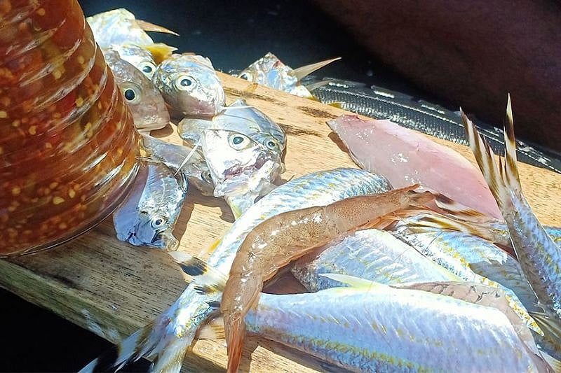 Isdang Oro Kinilaw Wikipedia