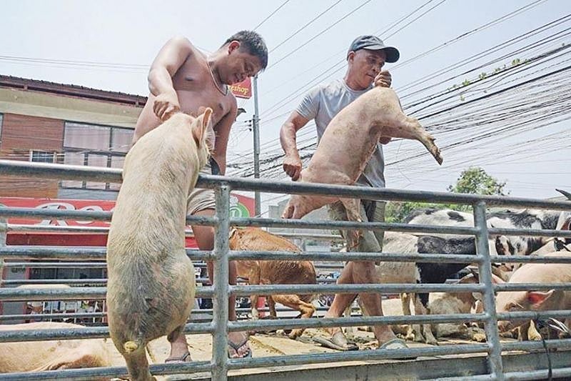 Ban on pork from Cebu eyed