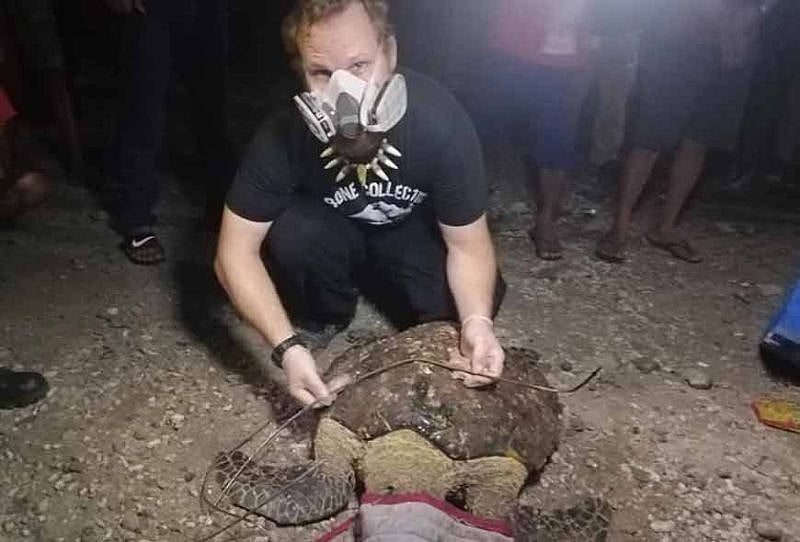 Hurt female hawksbill sea turtle rescued