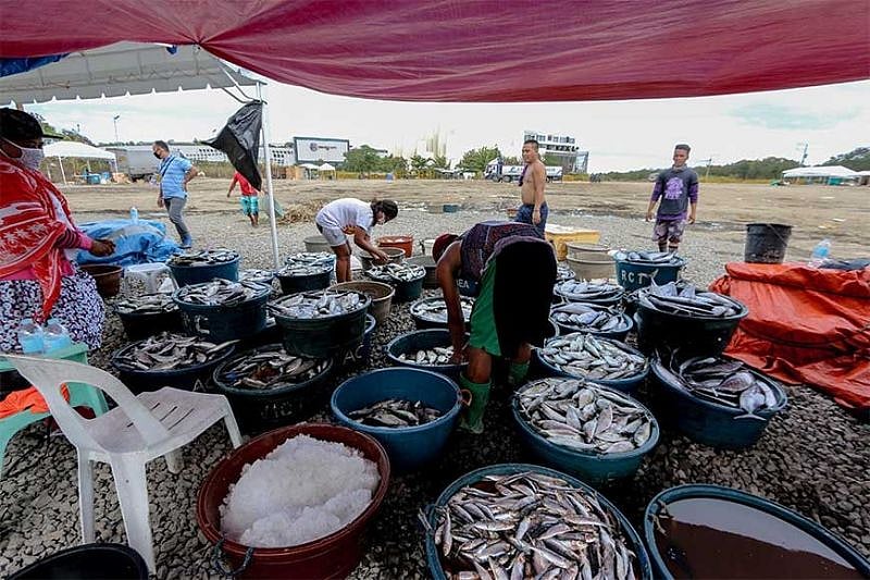 DA confident of PH’s stable fish supply in the coming months