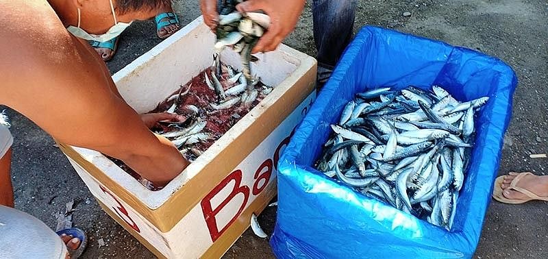 Isdang Oro Kinilaw Wikipedia